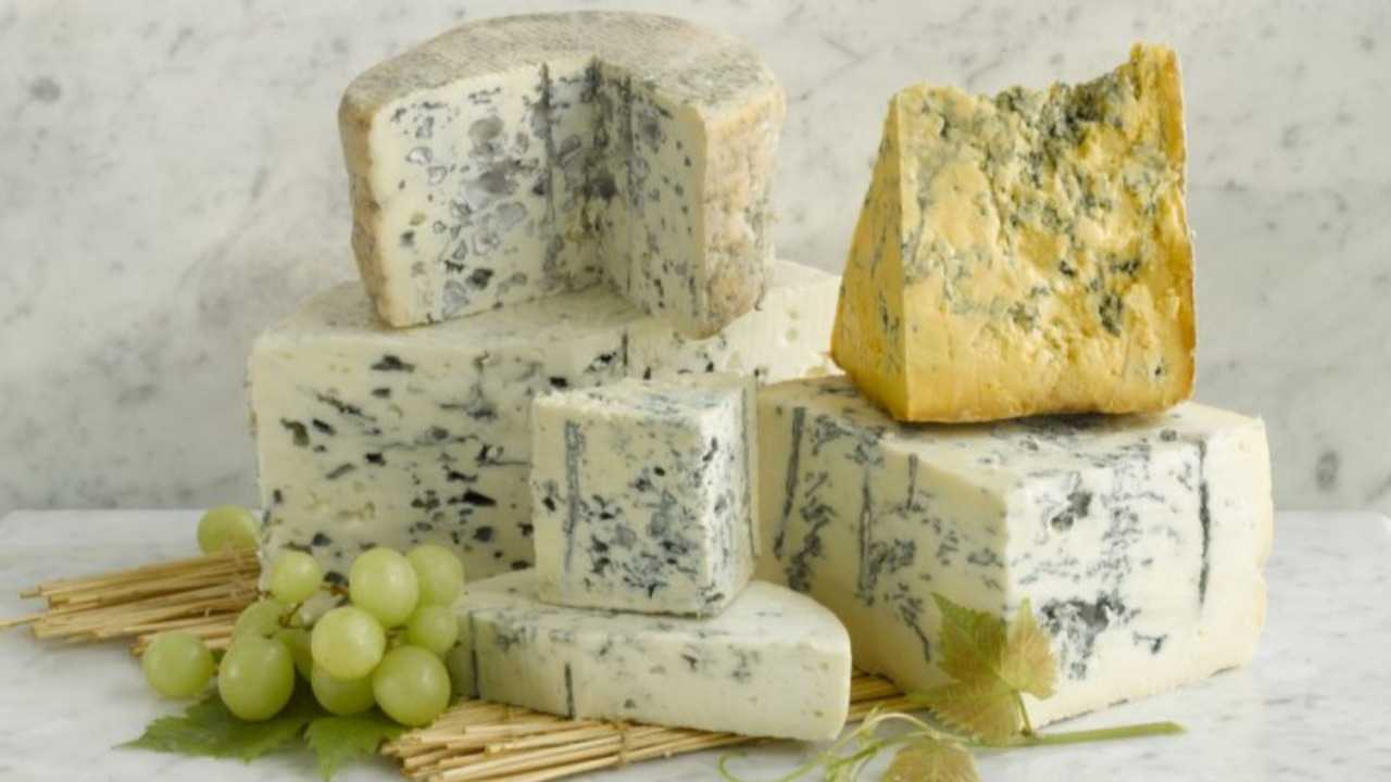 The secrets of moldy cheese: between controlled delights and invisible ...