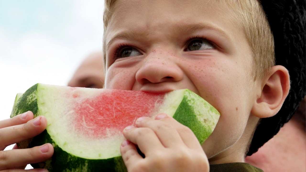 Exploring the nutritional and culinary wonders of watermelons: a dive ...