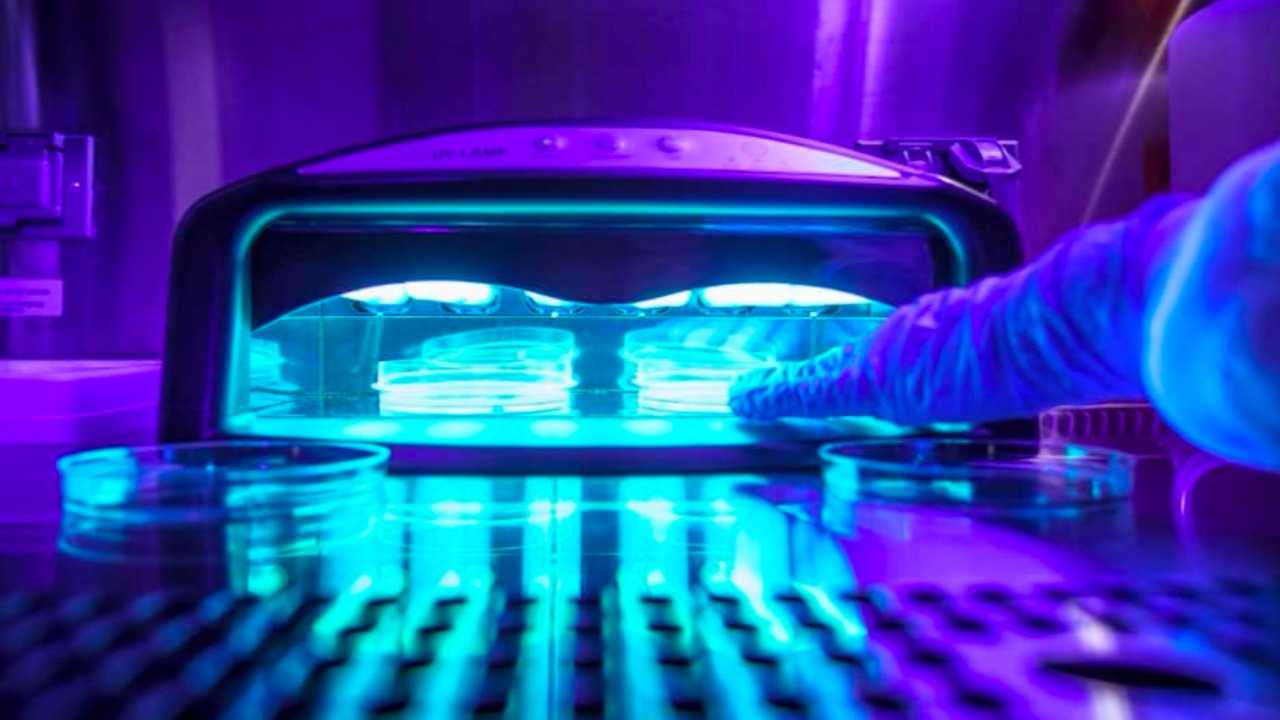 Novo Nordisk وWilcom و Bill & Melinda Gates Foundation يدخلون في شراكة ...