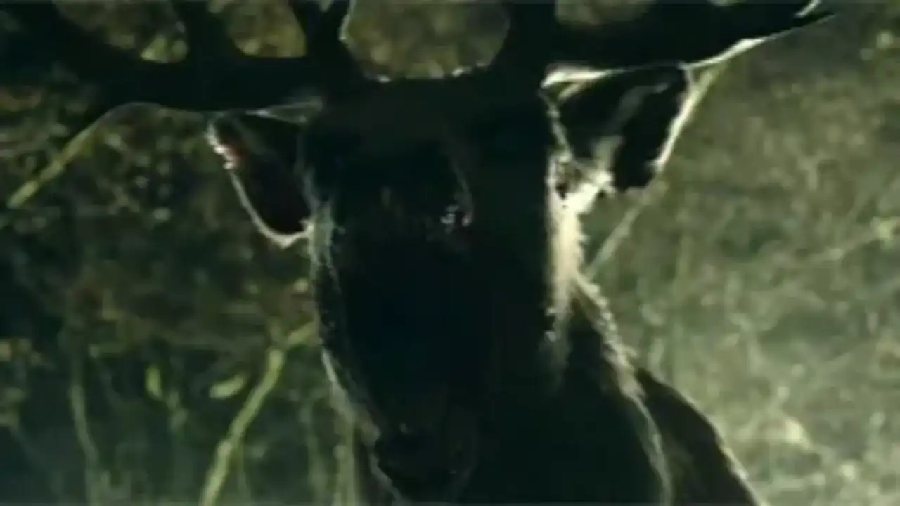 First trailer for 'Bambi: The Reckoning' unleashes a rampaging horror ...
